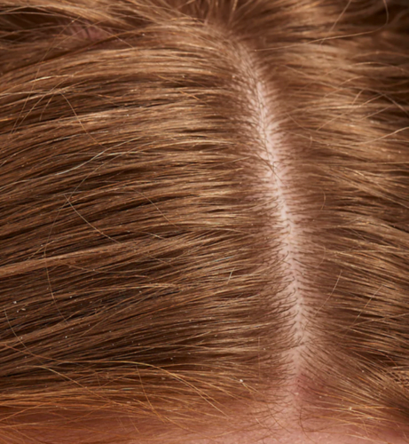 HelloBiome • AI-powered microbiome platform